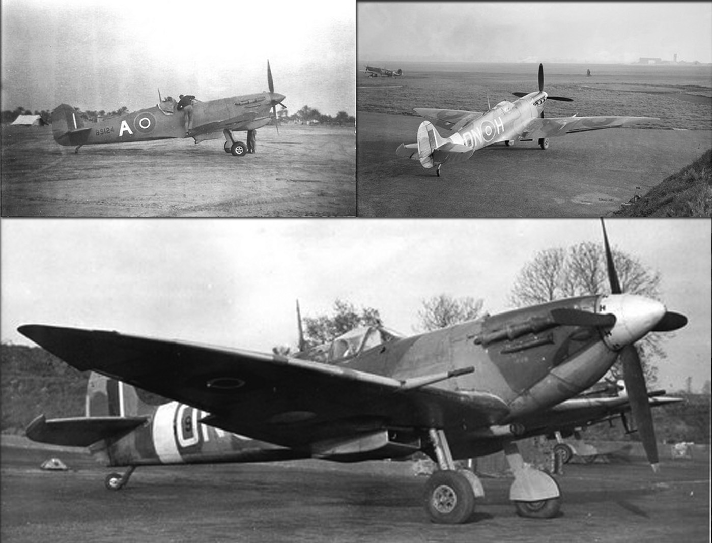 Photo set of the month: | RAF in Combat