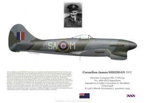 Prints – New Zealand | RAF in Combat