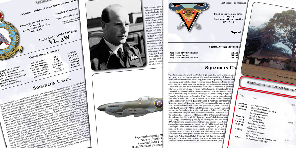 SQUADRONS! No.59: The Dutch Fighter squadrons | RAF in Combat