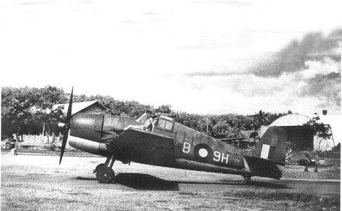 November 2023: Grumman F6F Hellcat (FAA) – 22 photos | RAF in Combat