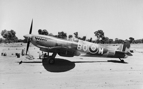 January 2024: The Supermarine Spitfire: The Australians in the Med (451 ...