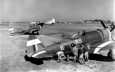 March 2024: The Republic Thunderbolt Mk II – 24 photos | RAF in Combat