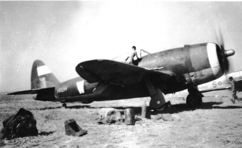 March 2024: The Republic Thunderbolt Mk II – 24 photos | RAF in Combat