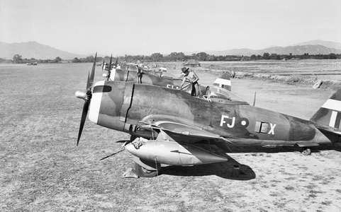 March 2024: The Republic Thunderbolt Mk II – 24 photos | RAF in Combat