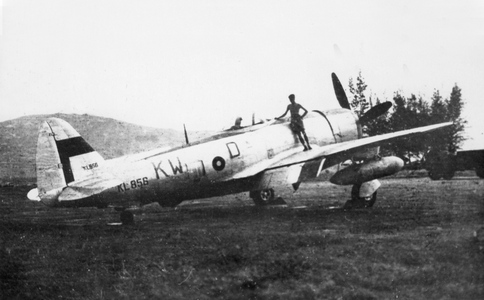 March 2024: The Republic Thunderbolt Mk II – 24 photos | RAF in Combat