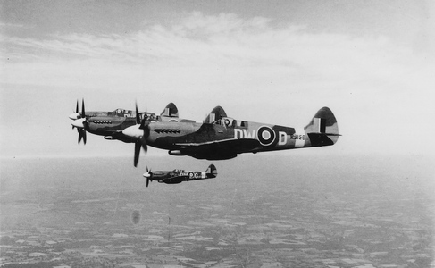 May 2025: Supermarine Spitfire XIV – Europe: 31 photos | RAF in Combat