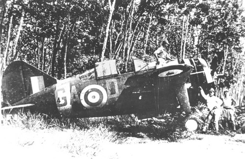 February 2015: Brewster Buffalo (RAF, FAA & RAAF) – 41 photos | RAF in ...